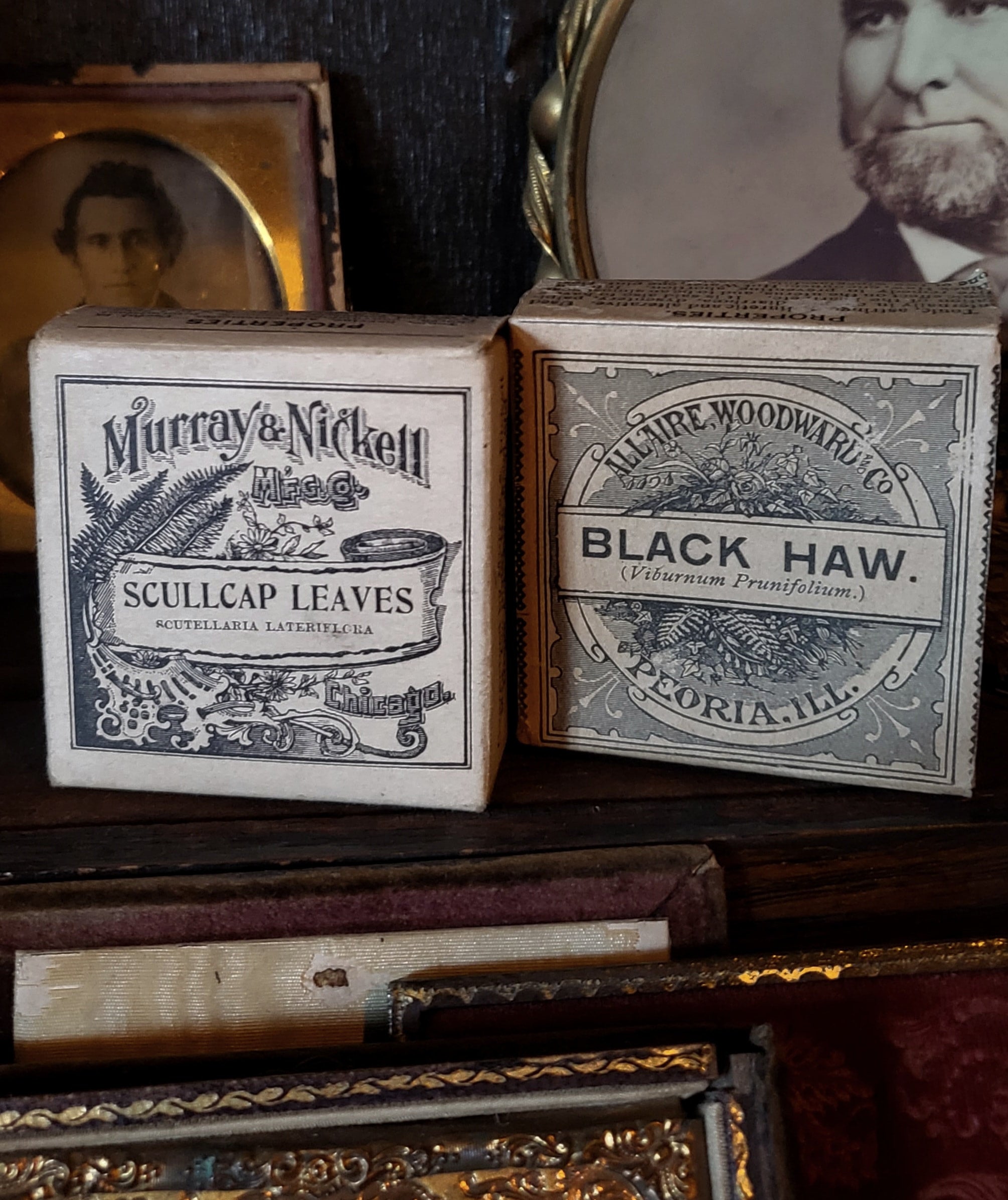 MM3-038 Early 1900s Antique Herbal Remedy Boxes (With Contents) | The ...