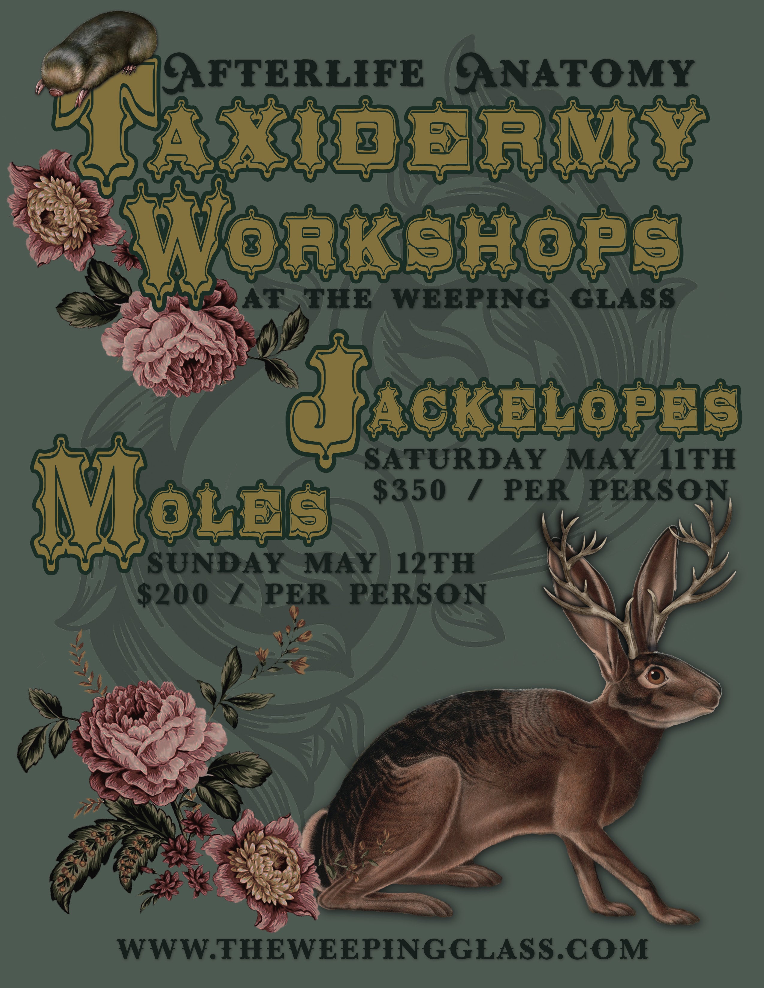 Mole Taxidermy Class with Afterlife Anatomy | The Weeping Glass
