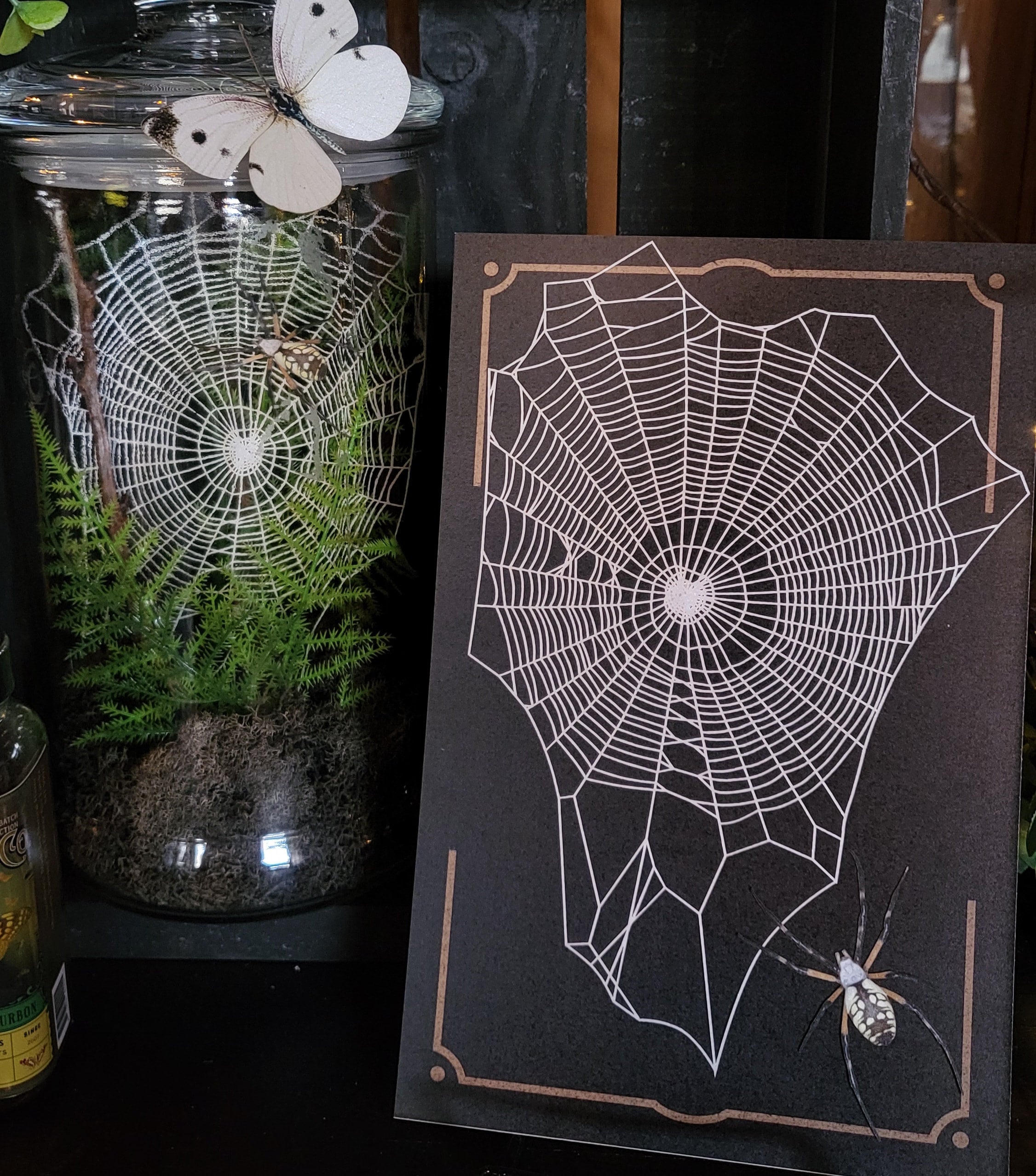 MM3-022 'Weaver' Spiderweb & Spider Paper Set | The Weeping Glass